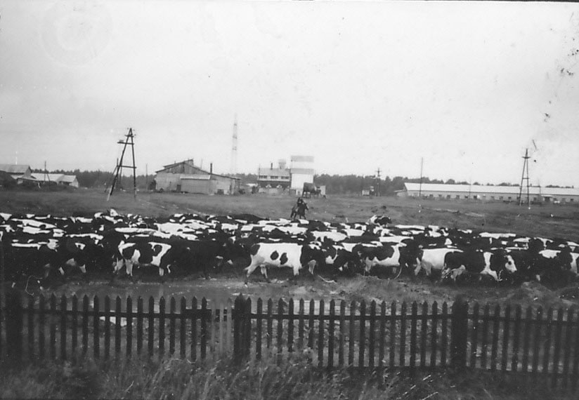 1976 USSR photos – Peter UK