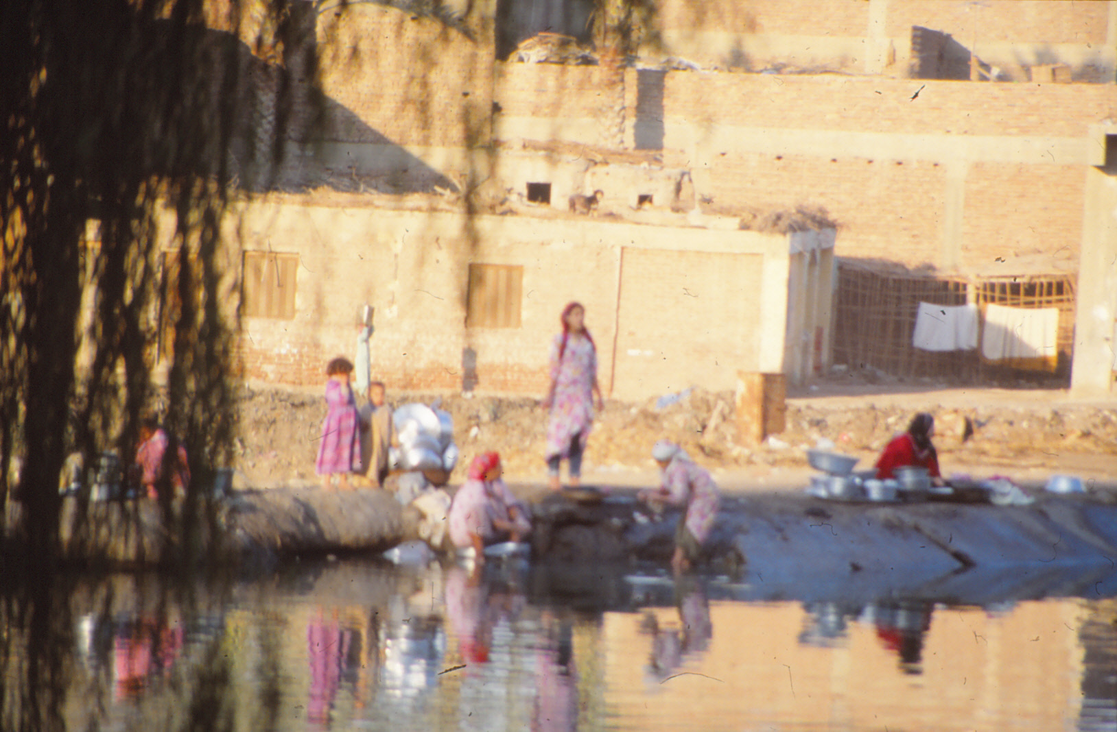 1988 Egypt Israel by public transport – Peter UK